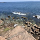 Ocean Path Trail, Maine - 4,326 Reviews, Map | AllTrails