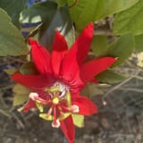 Back Bay Loop, California - 2,021 Reviews, Map | AllTrails