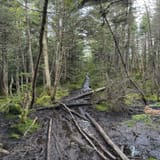 Great Range Loop Trail, New York - 369 Reviews, Map | AllTrails