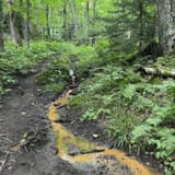 Great Range Loop Trail, New York - 369 Reviews, Map | AllTrails