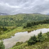 Lost Lake via Primrose Trail, Alaska - 255 Reviews, Map | AllTrails