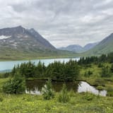 Lost Lake via Primrose Trail, Alaska - 253 Reviews, Map | AllTrails