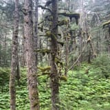 Lost Lake via Primrose Trail, Alaska - 253 Reviews, Map | AllTrails