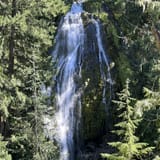 Proxy Falls Loop, Oregon - 1,344 Reviews, Map | AllTrails