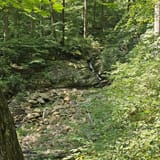 Daniel Ridge Loop, North Carolina - 2,143 Reviews, Map | AllTrails