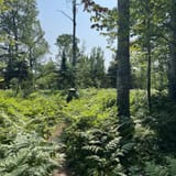 Rock Harbor to Windigo via The Greenstone Ridge Trail, Michigan - 85 ...