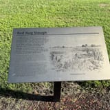 Red Bug Slough Trail, Florida - 361 Reviews, Map | AllTrails