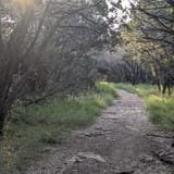 Good Water Trail to Lake Georgetown, Texas - 1,256 Reviews, Map | AllTrails