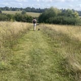 Banstead Woods Nature Circular, Surrey, England - 689 Reviews, Map ...