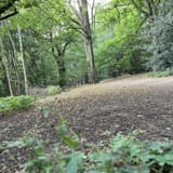 Hampstead Heath Circular, London, England - 1,161 Reviews, Map | AllTrails