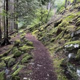 McClellan Butte Trail, Washington - 1,206 Reviews, Map | AllTrails