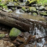 Poo Poo Point Trail, Washington - 6,898 Reviews, Map | AllTrails