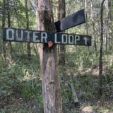 Hickory Ridge Outer Trail, Tennessee - 381 Reviews, Map | AllTrails