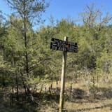 Hickory Ridge Outer Trail, Tennessee - 358 Reviews, Map | AllTrails