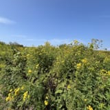 Sachuest Point National Wildlife Refuge Trail, Rhode Island - 2,054 ...