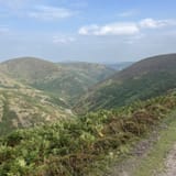 Long Mynd Circular, Shropshire, England - 1,251 Reviews, Map | AllTrails