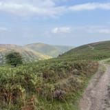 Long Mynd Circular, Shropshire, England - 1,259 Reviews, Map | AllTrails