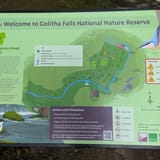 Golitha Falls, Cornwall, England - 170 Reviews, Map | AllTrails