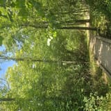 Speedwell Forge Hiking Trail, Pennsylvania - 1,196 Reviews, Map | AllTrails