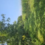 Speedwell Forge Hiking Trail, Pennsylvania - 1,196 Reviews, Map | AllTrails