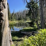 Alpine Pond Trail, Utah - 875 Reviews, Map | AllTrails