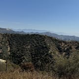 Runyon Canyon Trail, California - 8,184 Reviews, Map | AllTrails