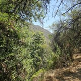 Temescal Canyon Trail, California - 11,309 Reviews, Map | AllTrails