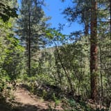 Sandys Canyon Trail, Arizona - 1,233 Reviews, Map | AllTrails