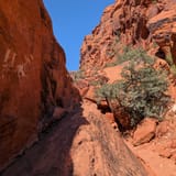 Guardian Angel Pass, Nevada - 1,944 Reviews, Map | AllTrails