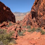 Guardian Angel Pass, Nevada - 1,944 Reviews, Map | AllTrails