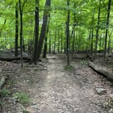 Allison Park Loop, New Jersey - 1,187 Reviews, Map | AllTrails