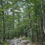 Pole Steeple Trail, Pennsylvania - 997 Reviews, Map | AllTrails