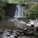 Wepre Park Circular, Flintshire, Wales - 493 Reviews, Map | AllTrails