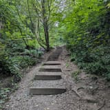 Wepre Park Circular, Flintshire, Wales - 493 Reviews, Map | AllTrails