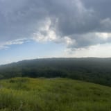 Berry Pond Trail, Massachusetts - 70 Reviews, Map | AllTrails