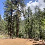 Chamisa Trail, New Mexico - 1,503 Reviews, Map | AllTrails