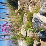 Magruder Corridor (Montana OHV Road), Idaho - 53 Reviews, Map | AllTrails