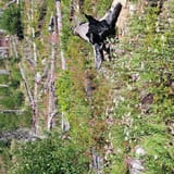 Magruder Corridor (Montana OHV Road), Idaho - 53 Reviews, Map | AllTrails