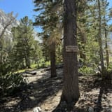 Mount Tyndall Trail, California - 167 Reviews, Map | AllTrails