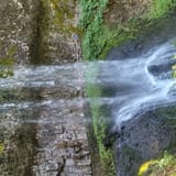South Falls and Maple Ridge Loop, Oregon - 2,699 Reviews, Map | AllTrails
