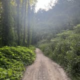 Hard Times Loop, North Carolina - 1,640 Reviews, Map | AllTrails