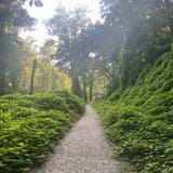 Hard Times Loop, North Carolina - 1,640 Reviews, Map | AllTrails