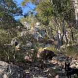 Mount Ninderry Trail, Queensland, Australia - 626 Reviews, Map | AllTrails