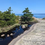 Beachcroft Path Trail, Maine - 583 Reviews, Map | AllTrails