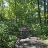 Paulinskill Valley Rail Trail , New Jersey - 163 Reviews, Map | AllTrails