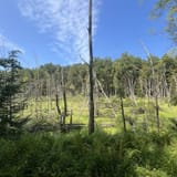 Paulinskill Valley Rail Trail , New Jersey - 163 Reviews, Map | AllTrails