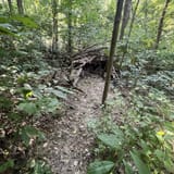 SIUE Nature Preserve Loop, Illinois - 732 Reviews, Map | AllTrails