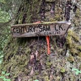 Century Sam Lake, British Columbia, Canada - 586 Reviews, Map | AllTrails