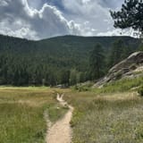 Cub Lake Loop, Colorado - 2,314 Reviews, Map | AllTrails
