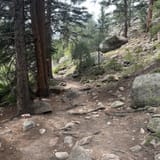 Cub Lake Loop, Colorado - 2,306 Reviews, Map | AllTrails